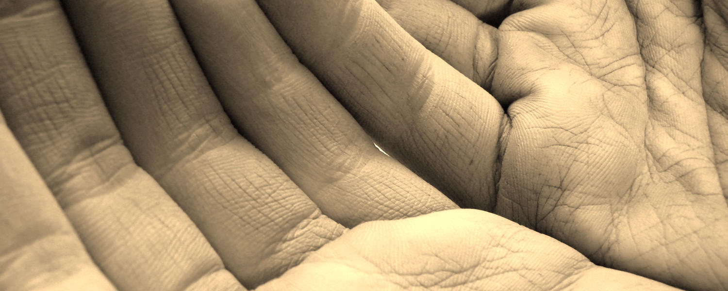 BDP | Registering for Body Donation | BODY DONATION PROGRAM | Cumming ...