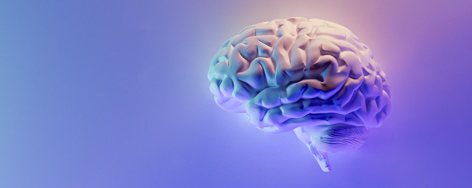 Multiple Sclerosis Fellowships Cumming School Of Medicine