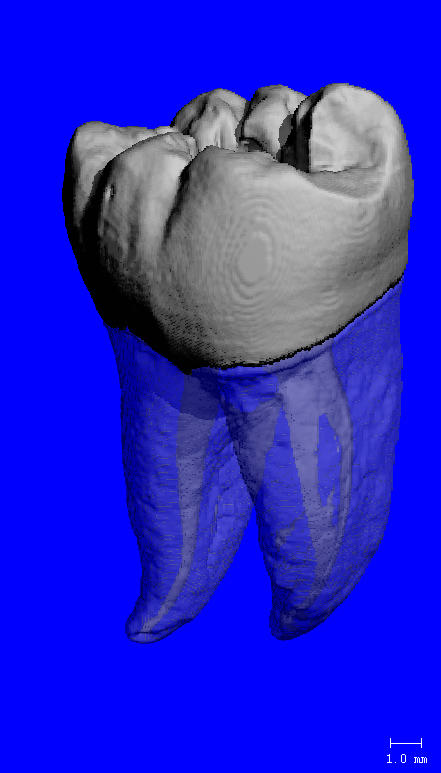 Micro CT Laboratory | Cumming School of Medicine | University of Calgary